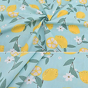 10PCS Fruit Cotton Fabric Bundles 20 x 20 Inch Printed Fat Quarter Fabric Pre-Cut Squares Sheets Fabric for Patchwork Sewing DIY Crafting Quilting