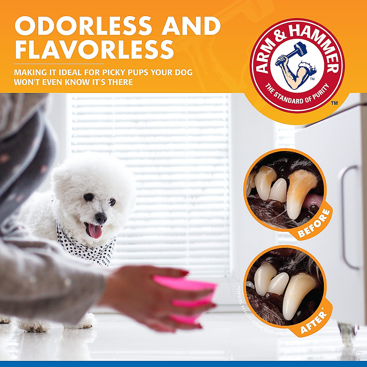 Arm & Hammer for Pets Combo Pack Dog Dental Tartar Control Water Additive and Fresh Breath Vanilla Ginger Enzymatic Toothpaste | Includes 16 Oz Dog Water Additive and 2.5 oz Dog Toothpaste