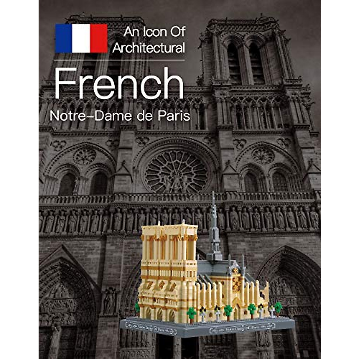 NeoLeo Micro Block Architecture Model Notre Dame de Paris French, Challenge for Adults Children, Cathedral Architecture Church Building Model Kits, 4018 Pieces