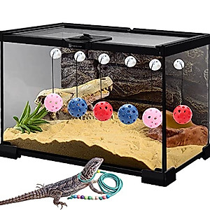 knana Bearded Dragon Toys Set - Bearded Dragon Bell Balls and Leash, Reptile Toy Ball for Bearded Dragon, Lizard, Gecko, Small Pet Animals