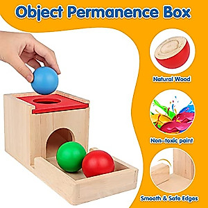 Montessori Toys for 1 2 3 Year Old, 5 in 1 Wooden Montessori Toys for Babies 6-12 Months, Toddler Toys Kit Includes Object Permanence Box with Ball Drop Toy, Shape Sorter & Other Educational Toys