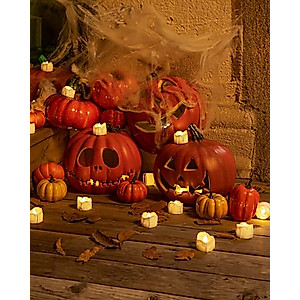 Homemory Timer Tea Lights, Flameless Flickering Battery Operated, Auto-On 6 Hours and Off 18 Hours Everyday, Batteries Included, Long-Lasting, Pack of 12