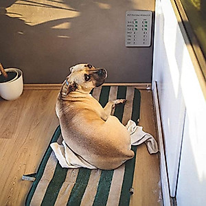 YARKOR Dog Feeding Reminder Magnetic Reminder Sticker,AM/PM Daily Indication Chart Feed Your Pets,Fridge Magnets and Double Sided Tape - Prevent Overfeeding or Obesity (Sliver)