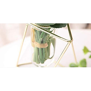 Aoderun Glass Flower Vase with Metal Stand Modern Geometry Desktop Glass Planter Indoor Hydroponics Plants for Home Office Garden Wedding Decor (Gold, M)