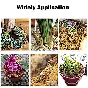 150 Grams Natural Sphagnum Moss Orchid Potting Mix, Organic Carnivorous Dried Peat Moss, Plant Supplies for Indoor Potting Soil, Perlite Blend, Reptile Bedding 3 Quart Sized Bag(Appx.5oz) by Giftape
