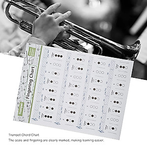Trumpet Chord Chart Chords Reference Poster Scales Reference Fingering Practice Chart(Trumpet Chord Chart (Large Size))