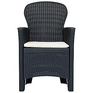 MBFLUUML Outdoor Patio Furniture, Patio Dining Sets, 5 Piece Patio Dining Set Plastic Anthracite Rattan Look Suitable for Patio, Porch, Backyard, Balcony.