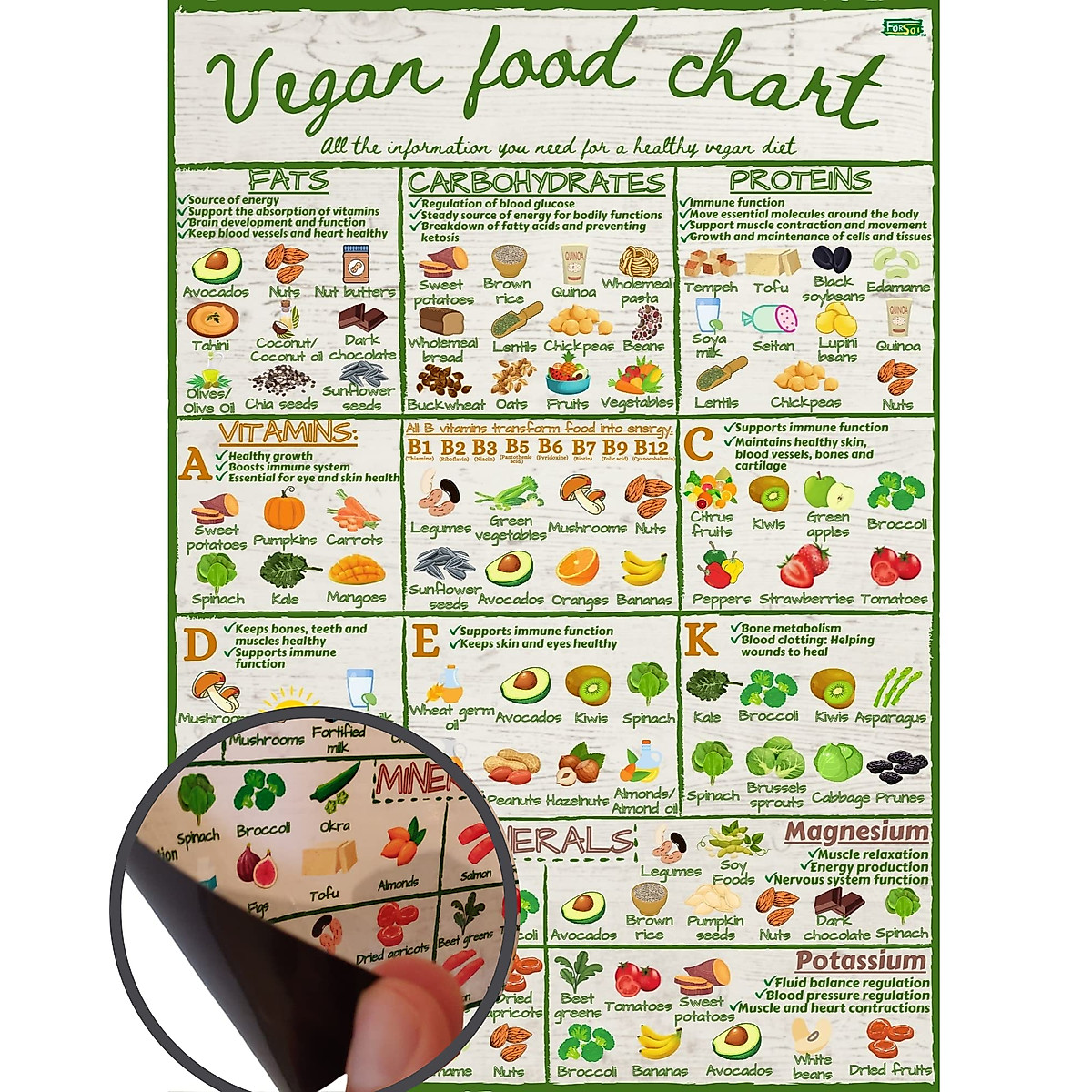 Vegan Healthy Food Chart Guide - Informative Nutrition Vitamins Minerals Magnetic Fridge Chart - Stylish Colourful Water Resistant Kitchen Guide Magnet