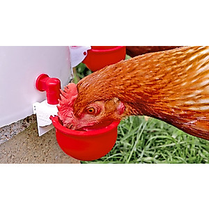 RentACoop DIY Automatic Chicken Waterer Cups for Any Chicken Watering System - Suitable for Tubing, Hardware Cloth, Buckets, Barrels, and More - Easy to Clean with Removable Cup Inserts - 7 Pack