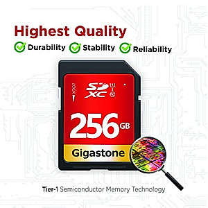 Gigastone 256GB SD Card UHS-I U1 Class 10 SDXC Memory Card High Speed Full HD Video Canon Nikon Sony Pentax Kodak Olympus Panasonic Digital Camera, with 1 Mini case