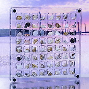 Magnetic Seashell Display Box, 64 Grids Seashell Storage Box, Clear Acrylic Magnetic Seashell Display Box - Decorative Storage Case for Seashells and Starfish.