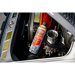 Gumout 800002231 Carb and Choke Cleaner Jet Spray - 14 oz.