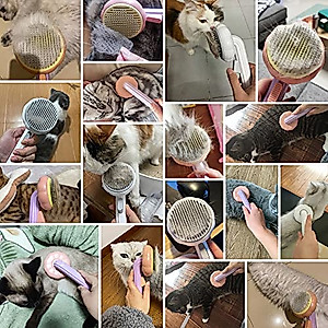 ZALER Cat Brush Self Cleaning Slicker Brushes, Pet Pumpkin Brush for Shedding and Grooming, Dog Brush for Short and Long Haired Dogs, Gently Remove Loose Undercoat, Mats Tangled Hair (Purple, 1piece)