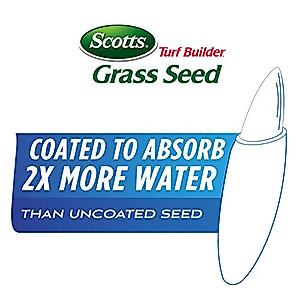 Scotts Turf Builder Grass Seed Argentine Bahiagrass, Excellent Heat & Drought Resistance, 5 lbs.