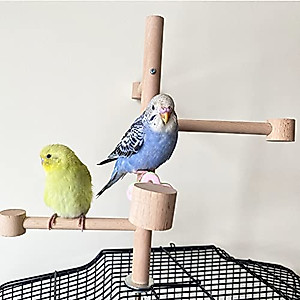 Wooden Bird Cage Stands Perches for Parrots, Parakeet Chewing Climbing Toys, Parrot Cage Top Tree Perches Play Stand Platform Playground Ladders Toys for Cockatiels Budgies Small Medium Parrots