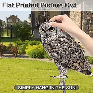 kungfu Mall Fake Owl Decoy to Scare Birds, 3 Pack Fake Owl Hanging Effective Bird Control Device to Keep Birds Pigeon Woodpecker Away from Outdoor Garden Yard