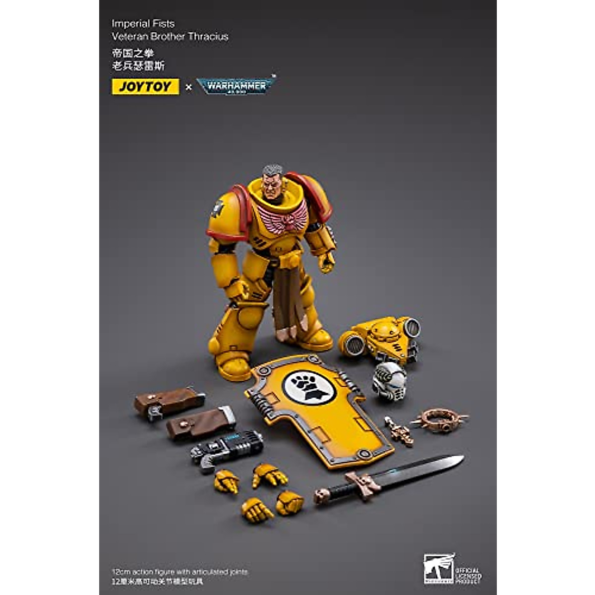 BLOOMAGE JOYTOY (BEIJING) TECH Warhammer 40K: Imperial Fists Veteran Brother Thracius 1:18 Scale Action Figure, Multi