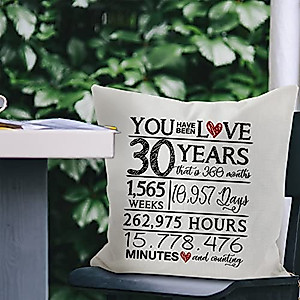 Wlesinzt 30th Birthday Decorations for Women Men Throw Pillow Covers 18X18 30th Birthday Gifts for Her Him Dirty Best Gifts for 30 Year Old Woman 30 Year Old Gift Ideas