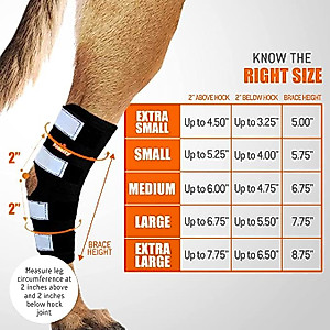NeoAlly Dog Rear Leg (One Leg) Hock Brace, Canine Leg Wrap for Hind Leg, Ideal Hock & Ankle Support and Protection for Sprain Recovery, Achilles Tendon Injury (Extra Large (Left Leg))
