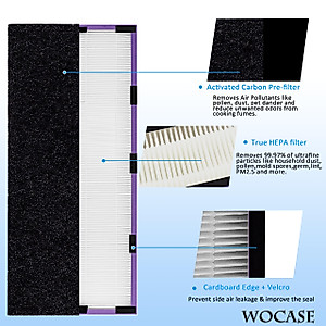 WOCASE FLT5250PT True HEPA Replacement Filter C Pet Compatible with GermGuardian Air Purifier AC5250PT, AC5000E, AC5300B,AC5350W,AC5350B,CDAP5500BCA,CDAP5500WSP,BXAP250,IAP-GG-125,2 HEPA+ 6 Pre-Filter