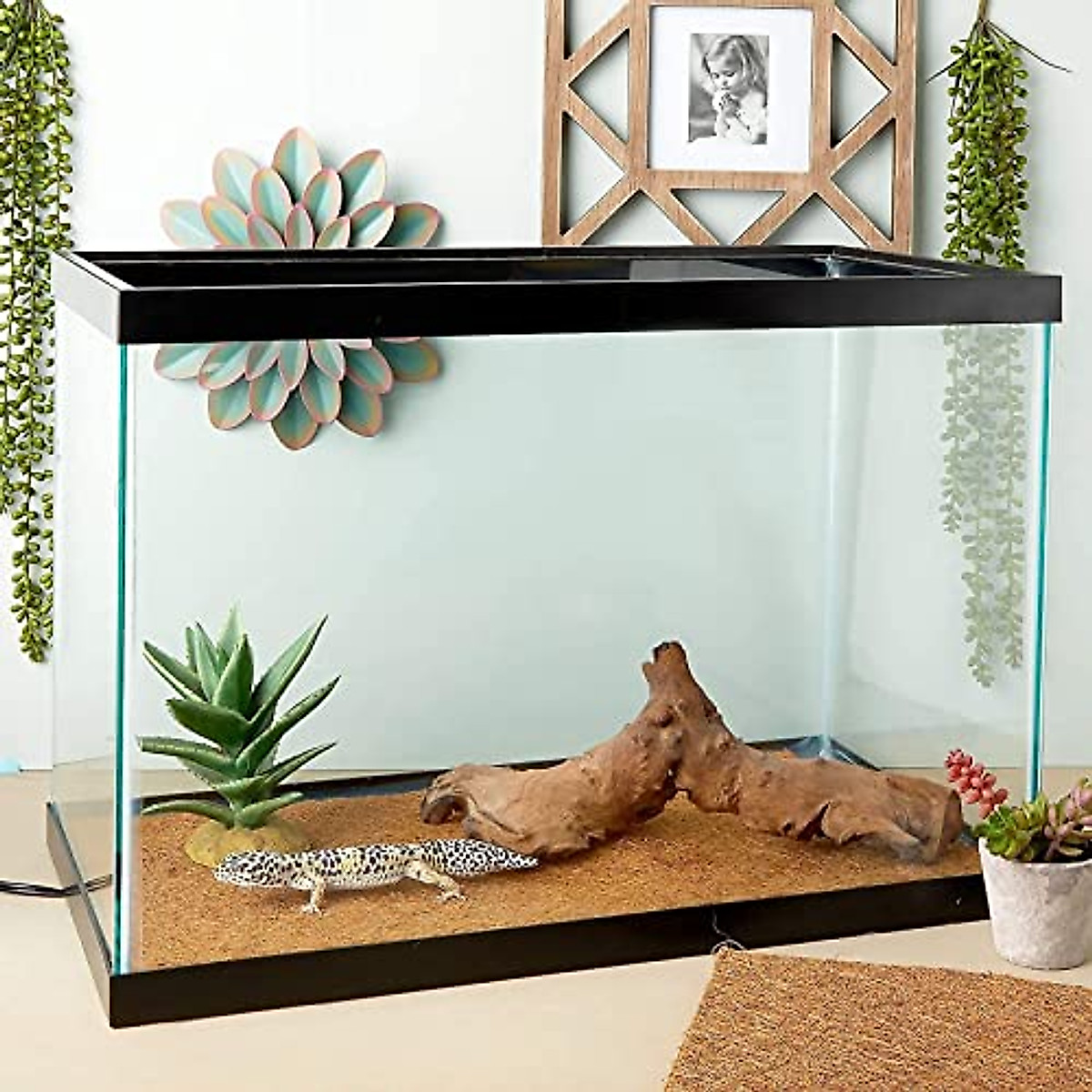 Farmlyn Creek 4-Pack Coco Fiber Substrate Mats for Small Pets, Natural Coir (12x20 in)