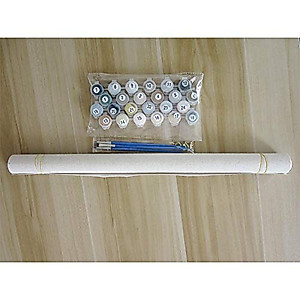 HRKDHBS Paint by Numbers Flame Football DIY Acrylic Oil Painting Kit Adult Kids Beginner Arts Crafts 40X50Cm (Without Frame)