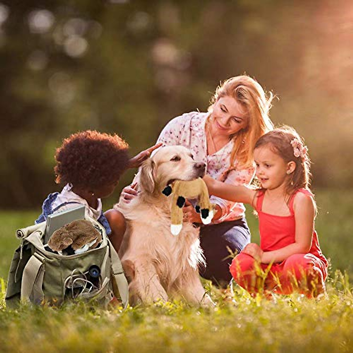 Nocciola 5 PCS Crinkle Dog Squeaky Toys with Double Layer Reinforced Fabric, Durable Plush Dog Toys, No Stuffing Body Dog Toy Set for Small to Large Dogs (5pcs 10 squeakers, Jungle Series1)