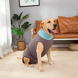 Musraya Dog Surgery Recovery Suit, Onesies for Dogs After Surgery, Dog Spay Recovery Suit Female, Breathable Neutering Recovery Suit for Male Dogs, Puppy Onesies Dog Surgical Suit (Darkgrey,S)