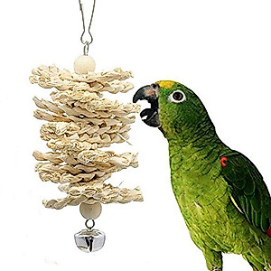 SHINYLYL 8 Packs Bird Toy,Bird Parrot Swing Chewing Toys Birdcage Stands,Wood Hanging Bell Bird Cage Toys for Parrots, Parakeets, Cockatiels, Conures, Macaws, Love Birds, Finches