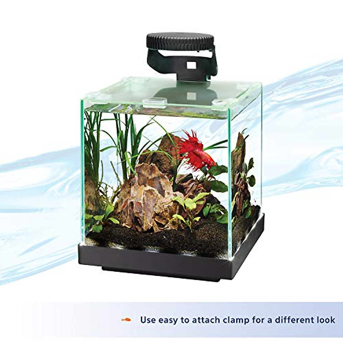 Aqueon Betta LED Light