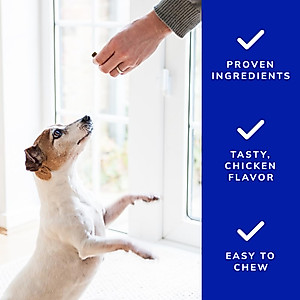 Joint Mobility Pro Soft Chews for Dogs, Over 60 lb, 120 ct