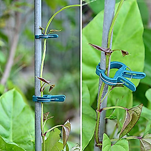 PERSZEN 60PCS Plant Clips 2 Sizes Adjusting Garden Plant Clips Reusable Plant Supports Clips for Supporting Stems of Flower Vine Vegetables Tomatoes Climbing