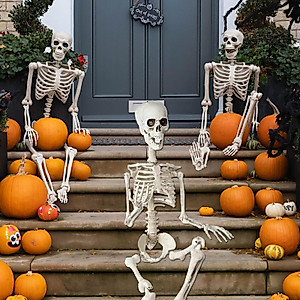36" Posable Halloween Skeleton, 3FT Skeleton Halloween Decorations, Full Body Lifelike Skeleton for Graveyard Decor, House Haunted, Halloween Prop