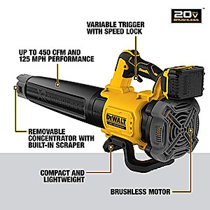DEWALT 20V MAX* XR Leaf Blower, 125-MPH, 450-CFM (DCBL722P1)