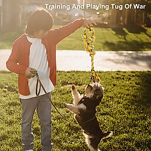 Caletoo Dog Rope Toys for Small Dogs, Rope Chew Toys for Aggressive Chewers, 22 Inchs Long 6 Knots Puppy Teething Chew Toy, Tug of War Interactive Tough Tug Dog Toys, Yellow