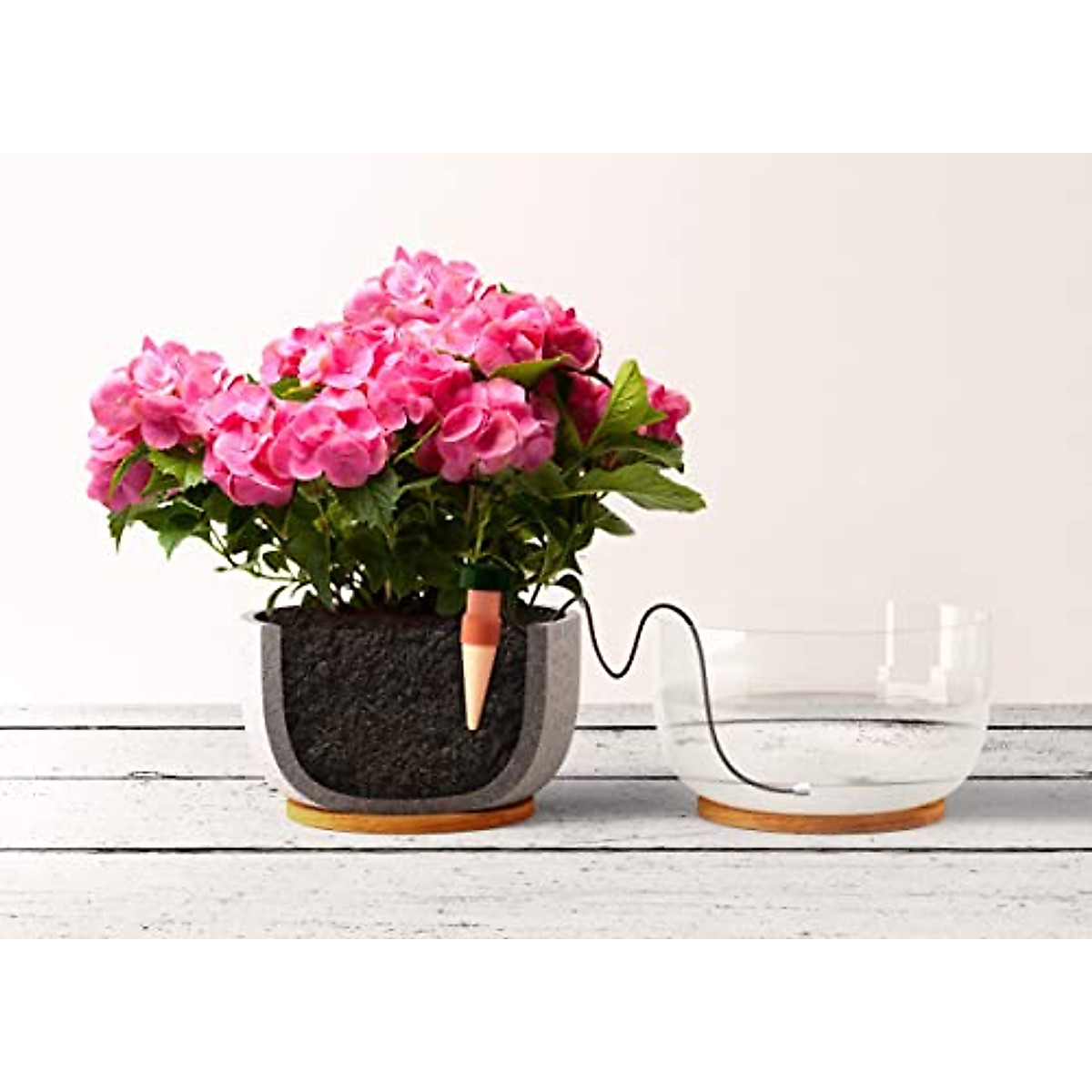 Blumat Classic Plant Watering Stakes | for Everyday Home or Vacation Use | Indoor or Outdoor Water Spikes for Plants | Automatic Drip Irrigation (3 Pack)