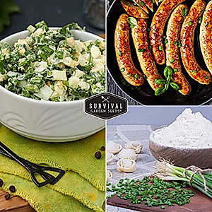 Survival Garden Seeds - Tokyo Long White Onion Seed for Planting - Pack with Instructions to Plant and Grow Asian Green Onions in Your Home Vegetable Garden - Non-GMO Heirloom Variety