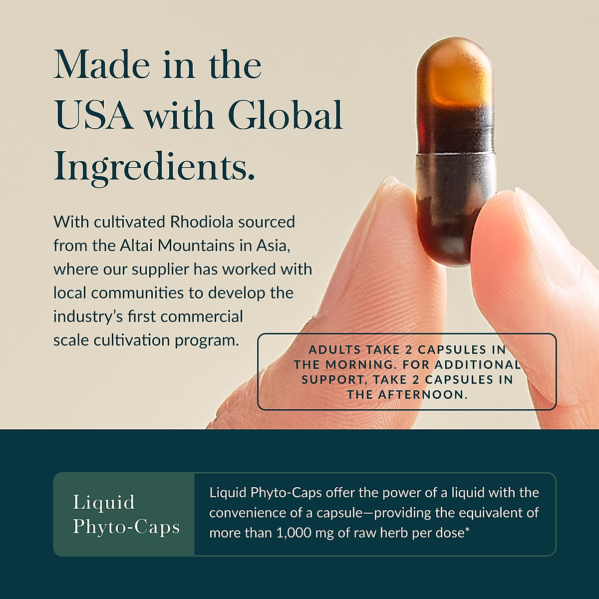 Gaia Herbs Adrenal Health Daily Support - with Ashwagandha, Holy Basil & Schisandra - Herbal Supplement to Help Maintain Healthy Energy and Stress Levels - 180 Liquid Phyto-Capsules (180 Count)