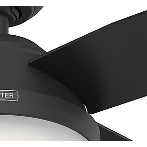 Hunter Fan Company 52391 Dempsey Ceiling Fan, 44 Inches, Matte Black