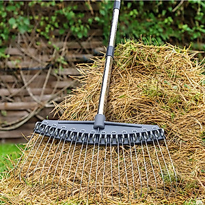 Colwelt Thatch Rake -24 Steel Tines, Dethatching Rake with 54’’ Lightweight Stainless Steel Handle, Yard Dethatcher Rake for Lawn(Pine Needles, Dead Grass, Thatch, Leaves, Mulch)