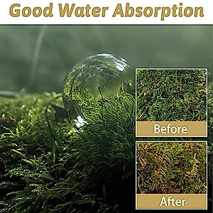 kathson Sphagnum Moss for Reptiles, 10.5 Oz Natural Dried Moss, Reptiles Peat Moss, Natural Sphagnum Moss, Frog Moss for Leopard, Long Fibered Dried Moss for Tortoise/Bearded Dragon/Snake/Lizard