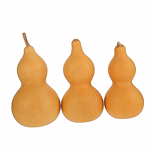 IMIKEYA 3pcs Gourd Ornaments Feng Shui Luck and Treasure Gourd Bottle Flask Natural Dried Gourd Housewarming Gifts Chinese Wu Ornament Chinese Wu Gourd White Skin Natural Gourd China