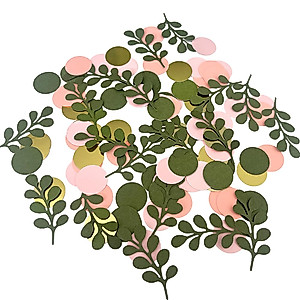 Sage Green and Pink Party Decorations Sage Blush Pink Baby Shower Decorations Paper Pom Poms Paper Fans Green Pink Confetti Dots Scatter Table Decoration for Sage Blush Birthday Wedding Party Decor