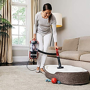 Shark Navigator Upright Vacuum with Lift-Away, Zero-M Anti-Hair Wrap Technology, Anti-Allergen + HEPA Filter and Swivel Steering (ZU561), Red Peony (Renewed)