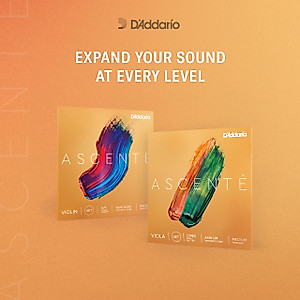 D'Addario Ascente Violin Strings - Violin Strings with Ball Ends, Synthetic Core - A310 4/4M - Full Set - 4/4 Scale - Medium Tension