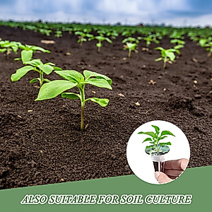 Tigvio 50 Piece Hydroponic Pods Kit: Grow Anything with 50 Grow Sponges - Compatible with All Hydroponics Brands