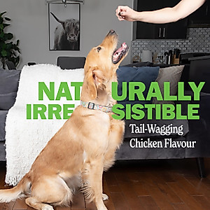 Deley Naturals Probiotics + Hip & Joint for Dogs, 2 x 120 Grain Free Chicken Soft Chews, Made in USA Dog Treats, Natural