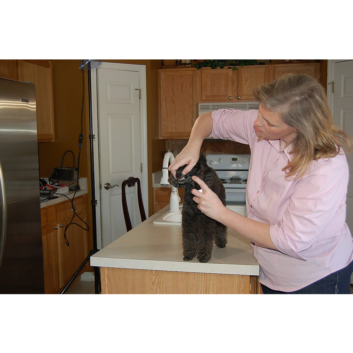 Plaque Attack Pet Dental Spray