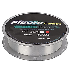 Super Strong Fishing Line, Durable 100M Nylon Fishing Line Lightweight for Pool Fishing(#2.5)