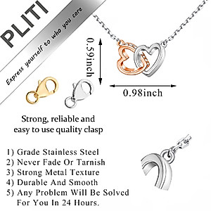 PLITI Sobriety Gift Addiction Recovery Gift AA Alcoholics Anonymous Gift 12 Step Gift Sober Sobriety Interlocking Heart Necklace (Sobriety heart nec)